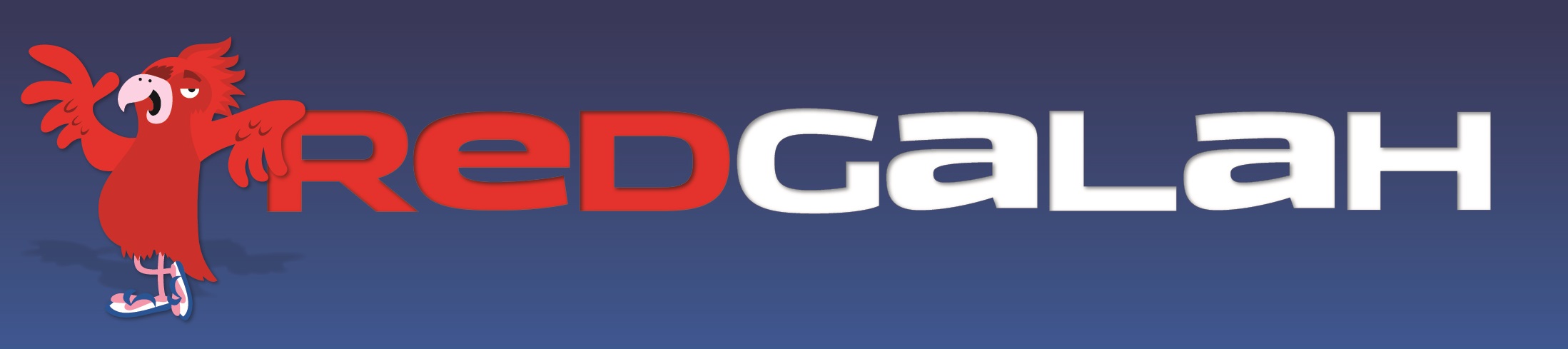 Red Galah logo BlueBG - Sensory Solutions